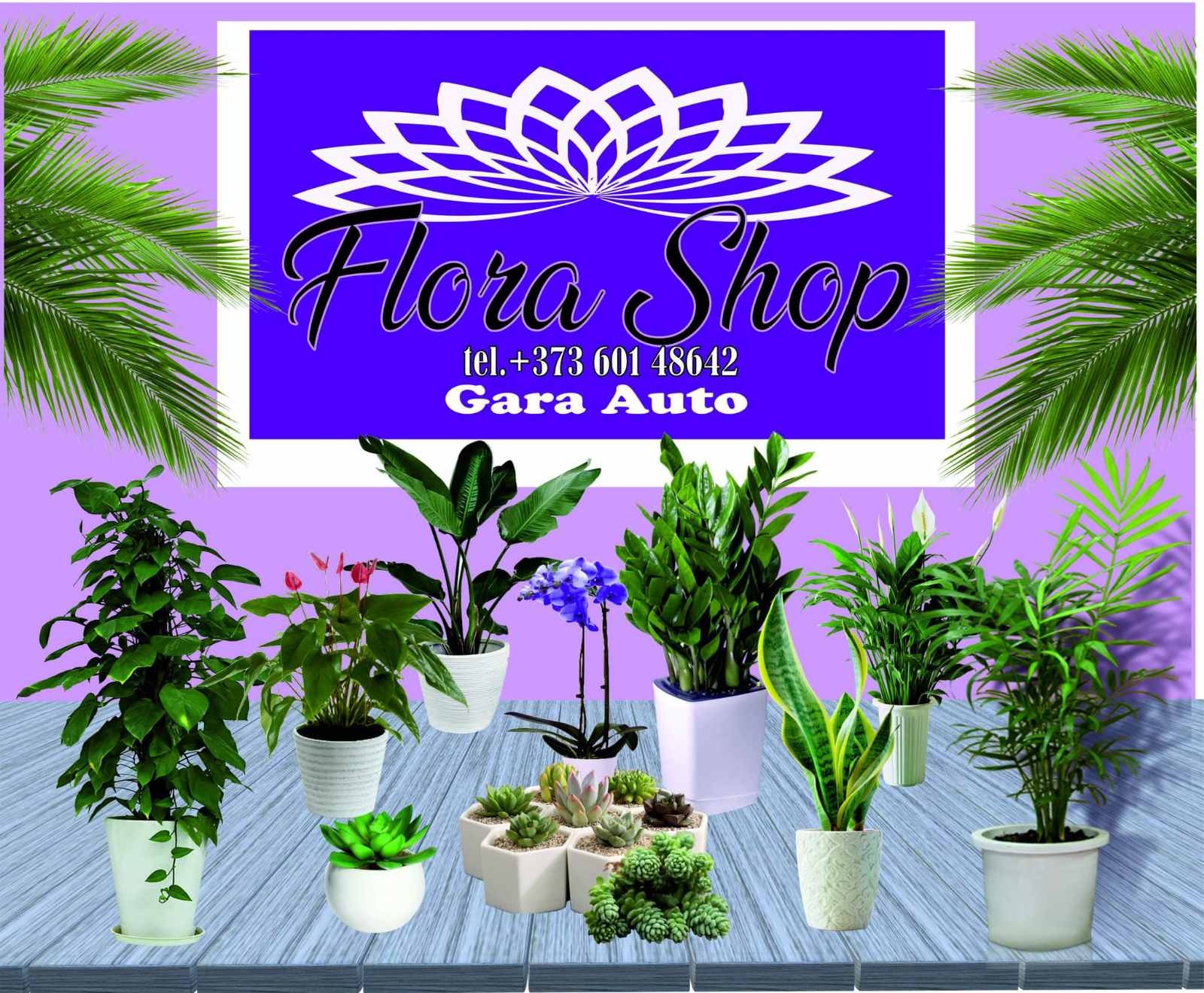 Arhive FLORA SHOP – STAR Card